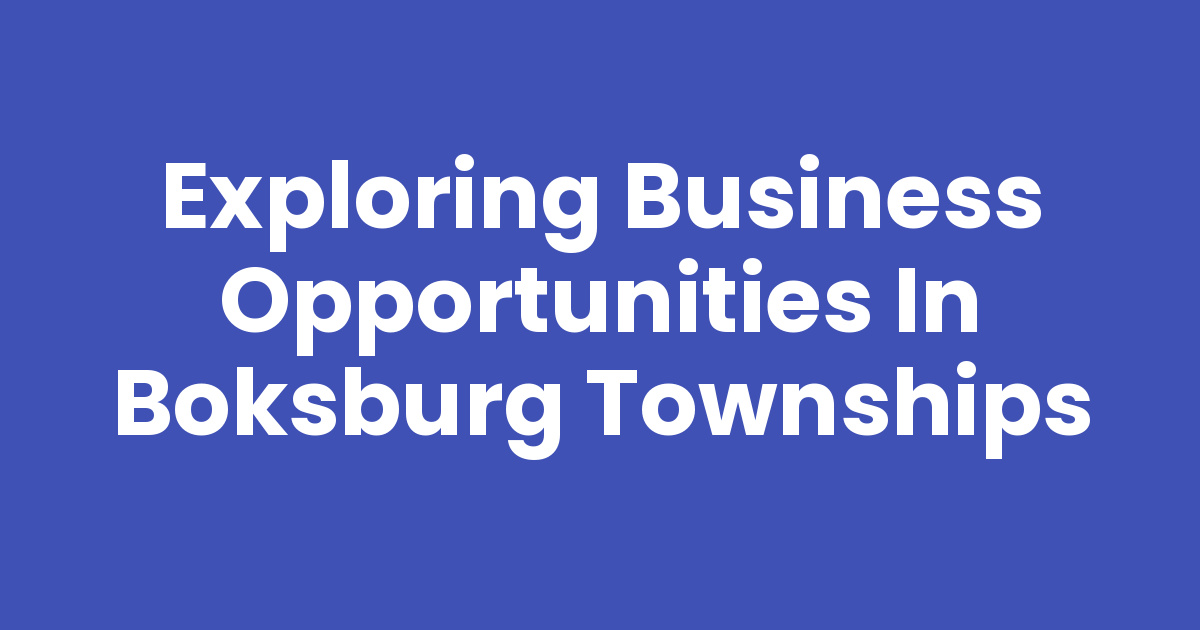 Exploring Business Opportunities in Boksburg Townships