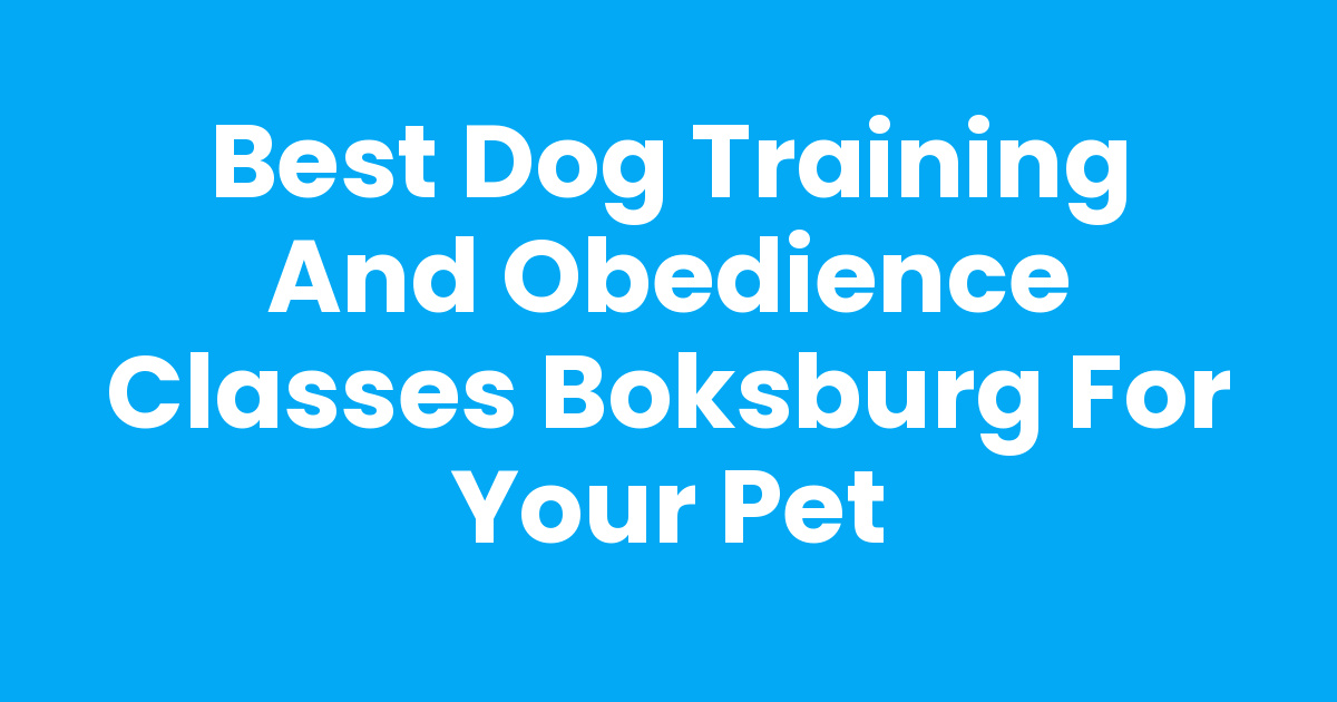 Best Dog Training and Obedience Classes Boksburg for Your Pet