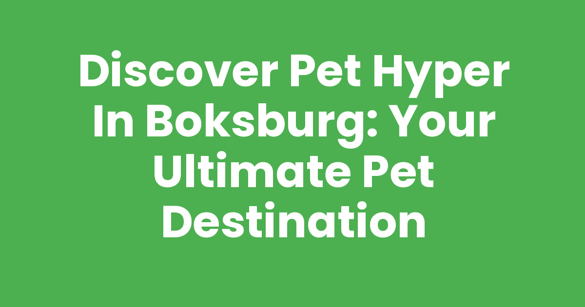 Discover Pet Hyper in Boksburg: Your Ultimate Pet Destination