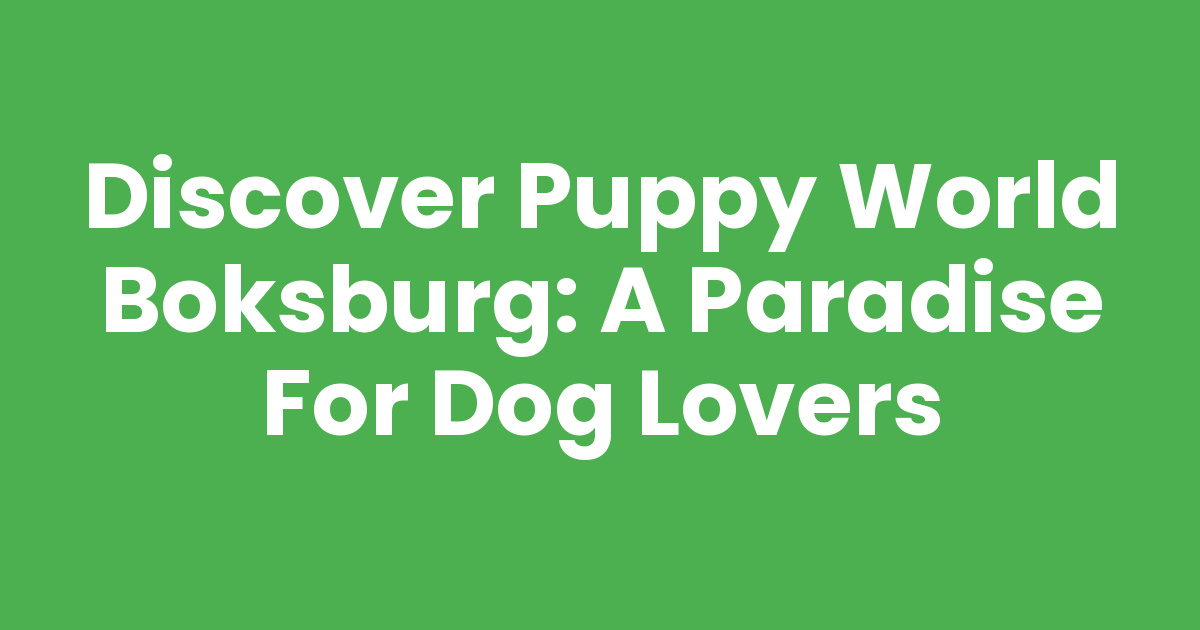 Discover Puppy World Boksburg: A Paradise for Dog Lovers